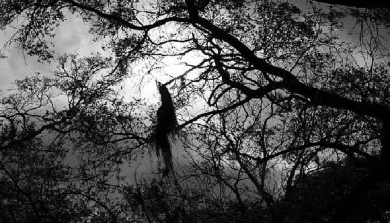 12 Haunted Places In Delhi That Will Give You Goosebumps